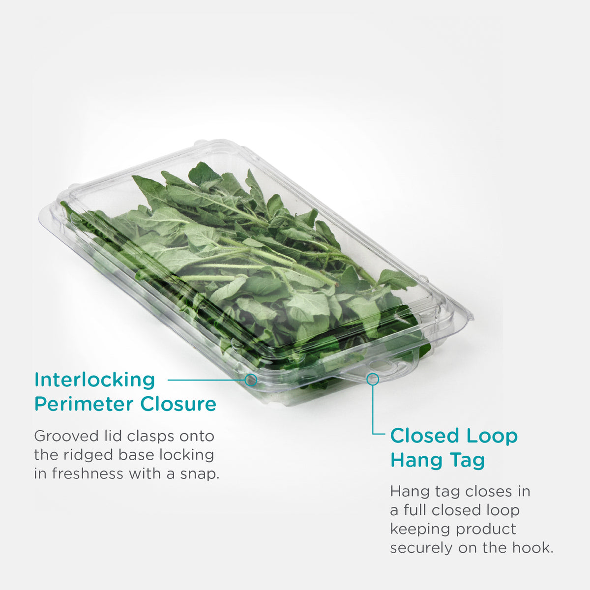 1 oz Hanging Herb Package | Sustainable Food Containers.